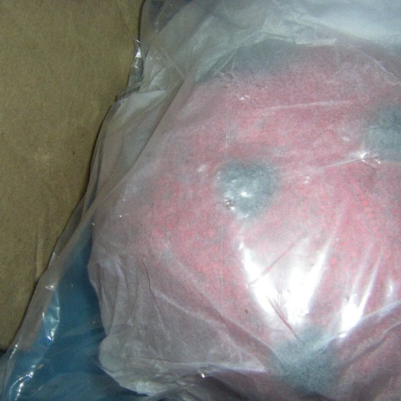 Betsey Johnson | Bags | Betsey Johnson Kitsch Lady In Red Lady Bug ...